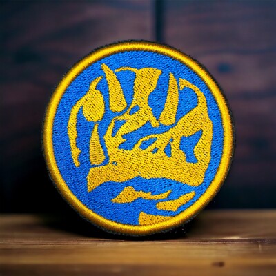 MMPR Mighty Morphin' Power Ranger Blue Ranger Coin Logo Embroidered ...