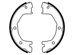 Delphi LS1919 Brake Shoe Set for sale online | eBay UK