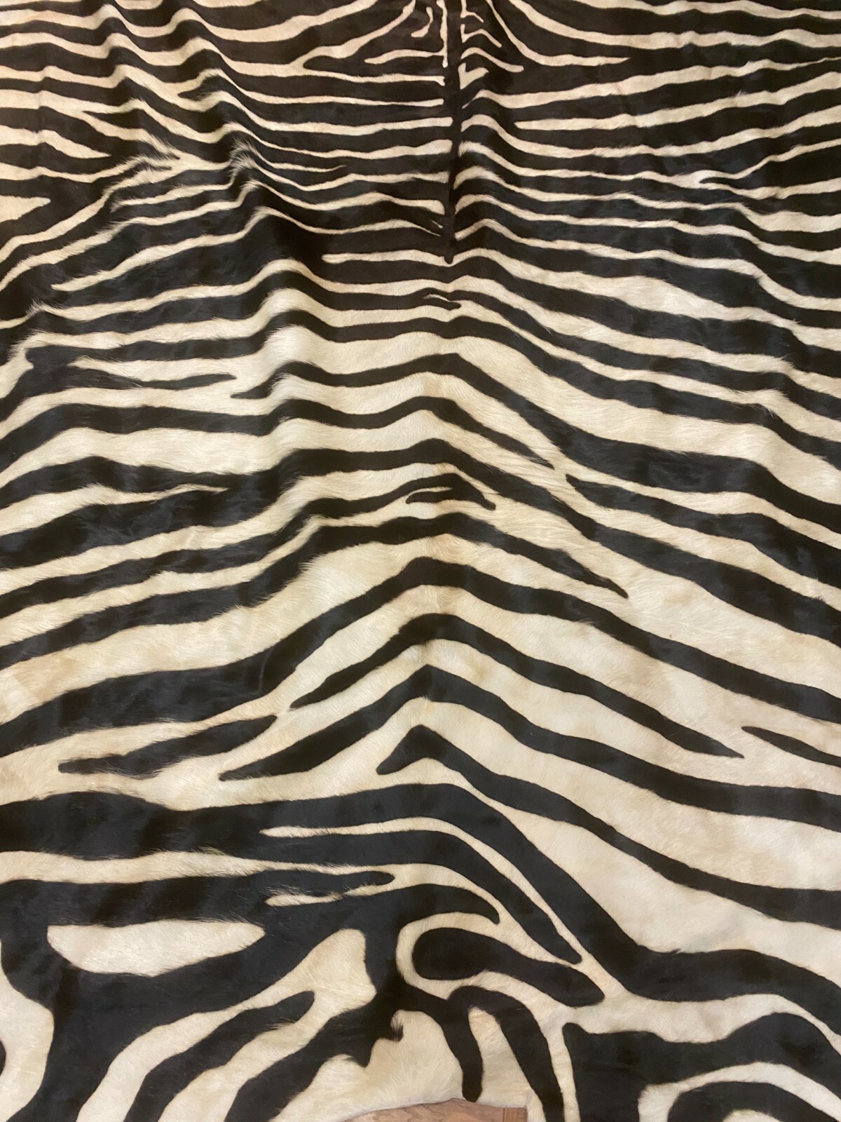DWR Design Within Reach Zebra Cowhide Rug Edelman Leather Modern | eBay