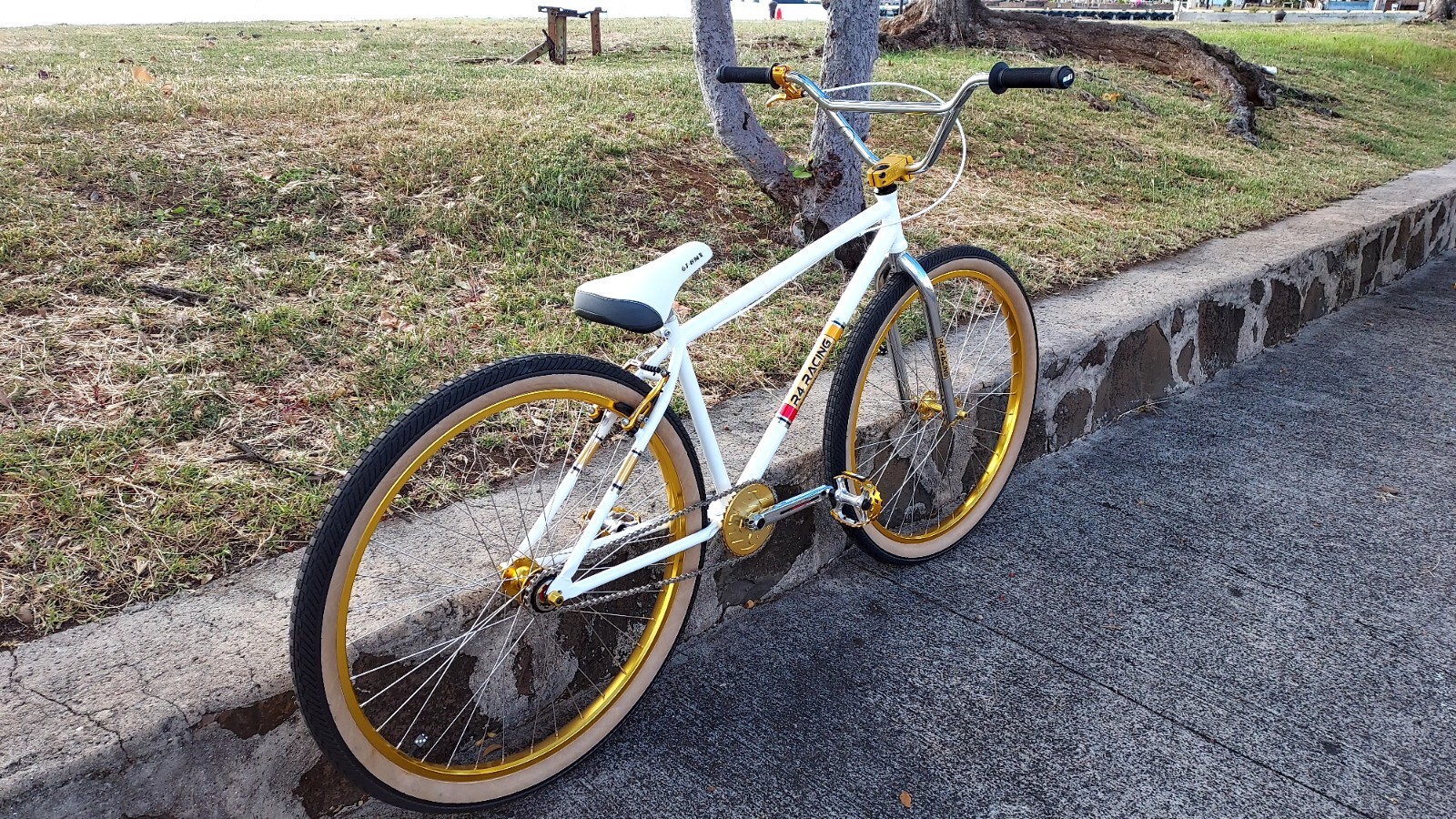 R4 Products 29 Inch BMX Cruiser | eBay