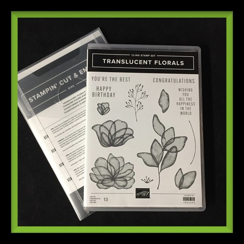 Stampin Up! TRANSLUCENT FLORALS Stamps & TRANSLUCENT FLORALS DIES #402 ...