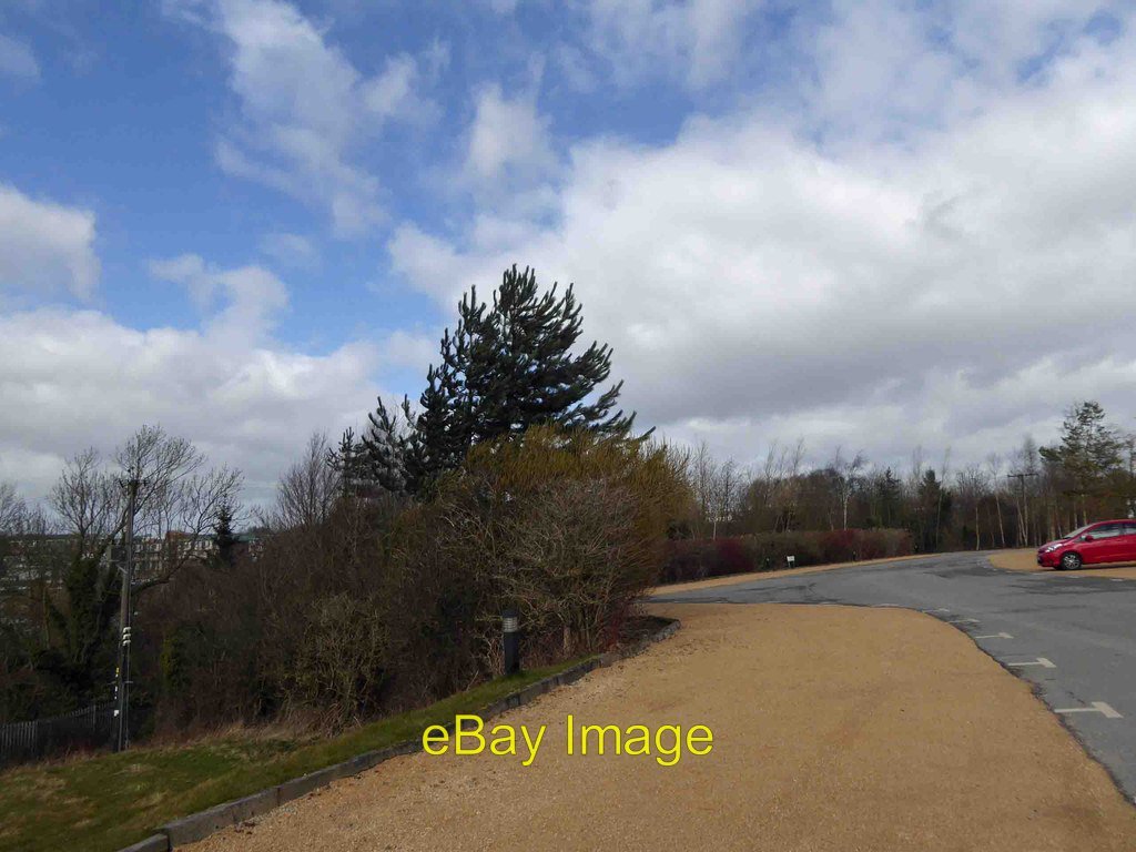 Photo 6x4 Ferndale garden Centre car park Dronfield c2015 | eBay UK