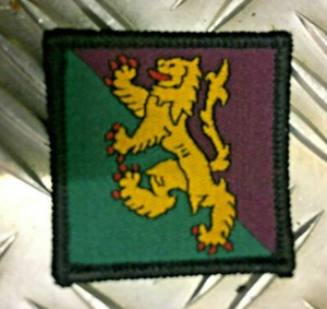 Genuine British Army 51 Scottish Brigade Rampant Lion TRF Patch/Badge ...