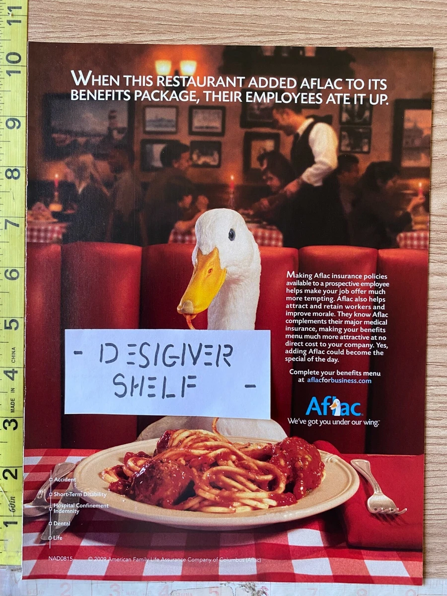 Duck Life Insurance American Family