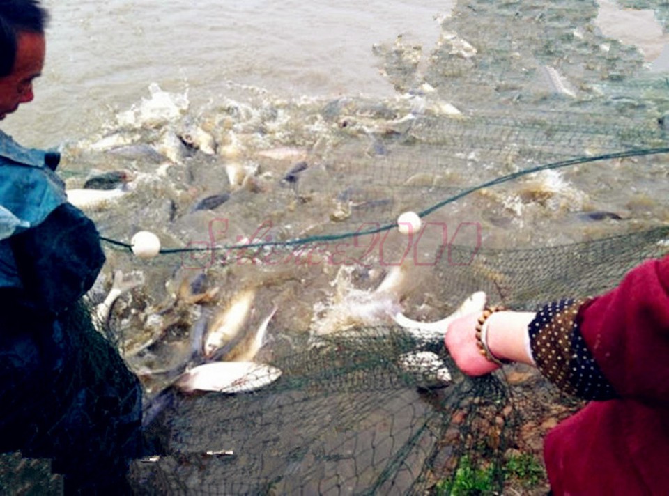 Hand Made Beach seine/ Drag Nets Or Can Customize | eBay
