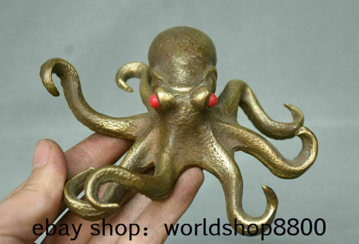 Giant Devilfish Octopus