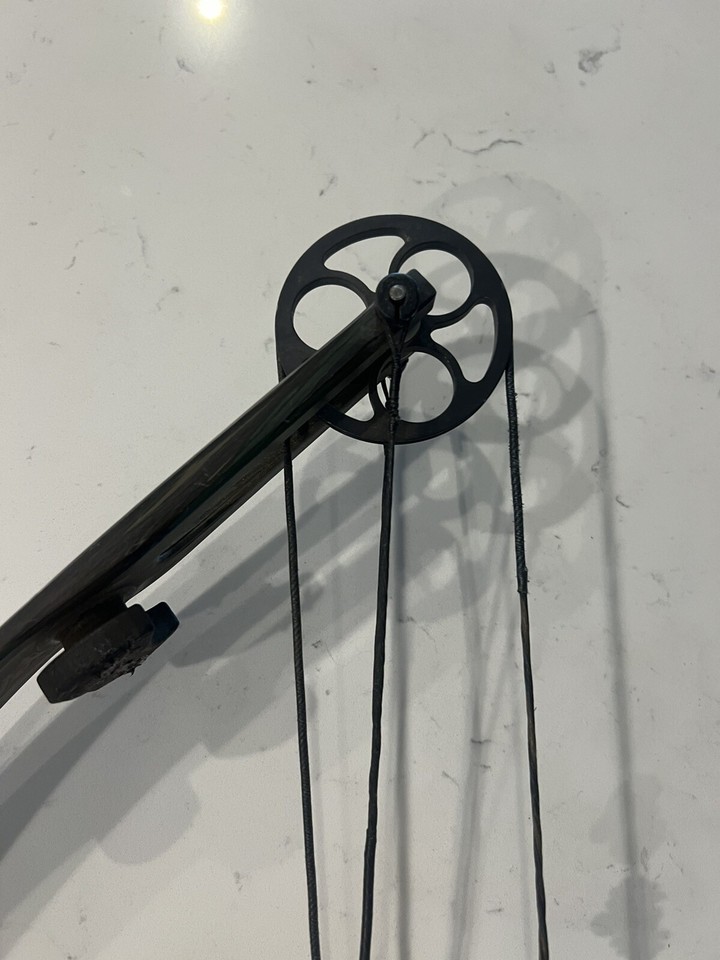 Mathews FX Solo Cam Compound Bow | eBay