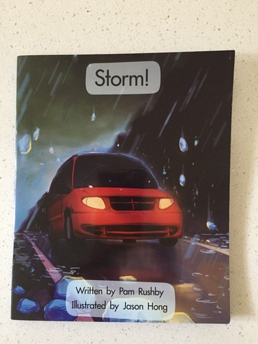 'Storm!' Springboard into Comprehension L11 Reading Book- Macmillan ...