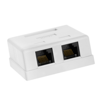 2-Port (Dual Port) Cat5e RJ45 UTP Ethernet Surface Mount Box w ...
