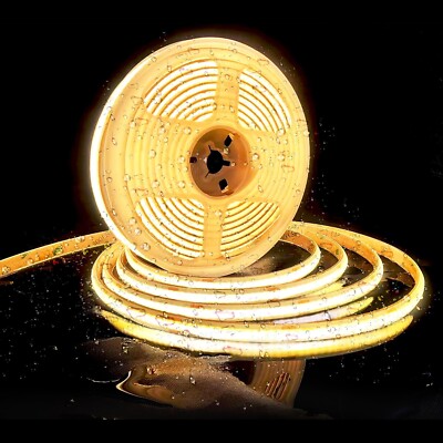 Outdoor LED Strip Lights,2700K Warm White,24V IP67 LED Strips,32.8FTt ...