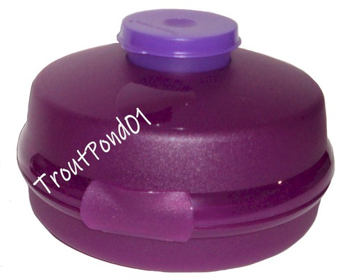 Tupperware Bagel Keeper Round Sandwich Salad Lunch Box Container ...