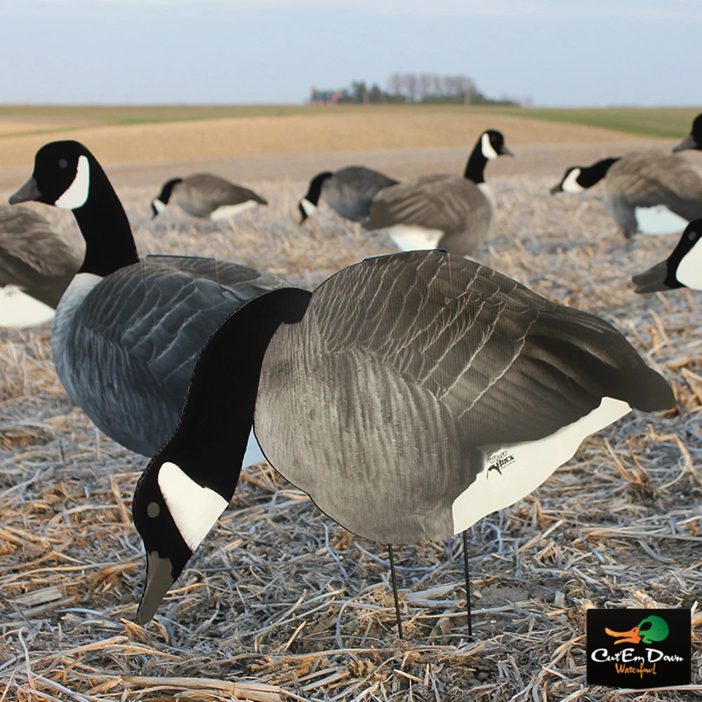 Goose Silhouette Decoys