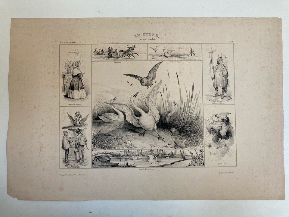 Beautiful Lithograph Leda Swan Jupiter Buffon 19th Century Print ...
