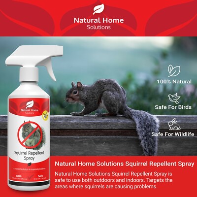 Eco Squirrel Repellent Spray A Natural Alternative To Squirrel Poison ...