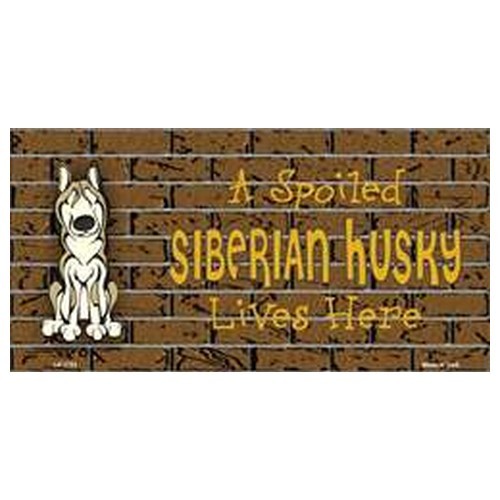 USA Novelty Number Plate - Siberian Husky (spoiled) Wall Art Sign Home ...