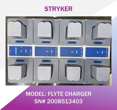 Stryker Flyte Battery Charger | eBay