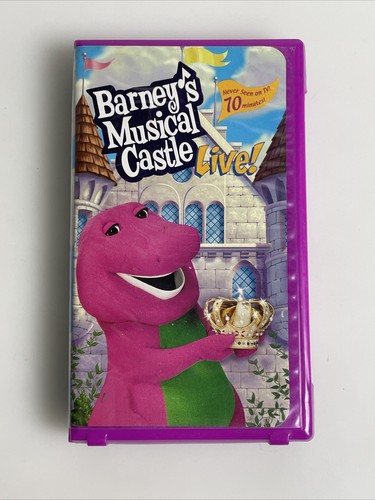 BARNEY'S MUSICAL CASTLE LIVE! STAGE SHOW~BABY BOP~BJ~KIDS EDUCATIONAL ...