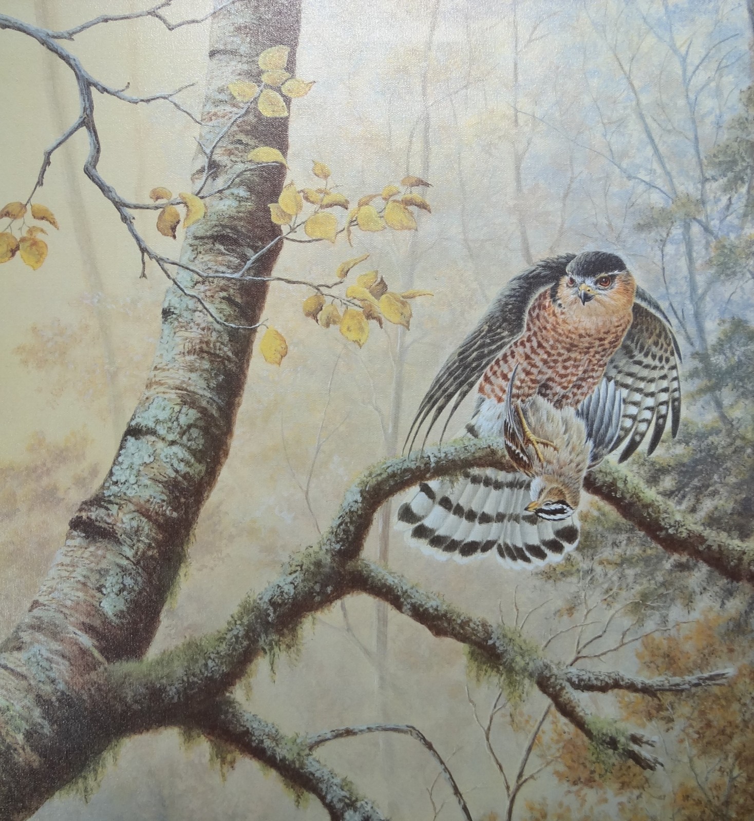 Dave Chapple "Dracula" Print on Canvas, Framed | eBay