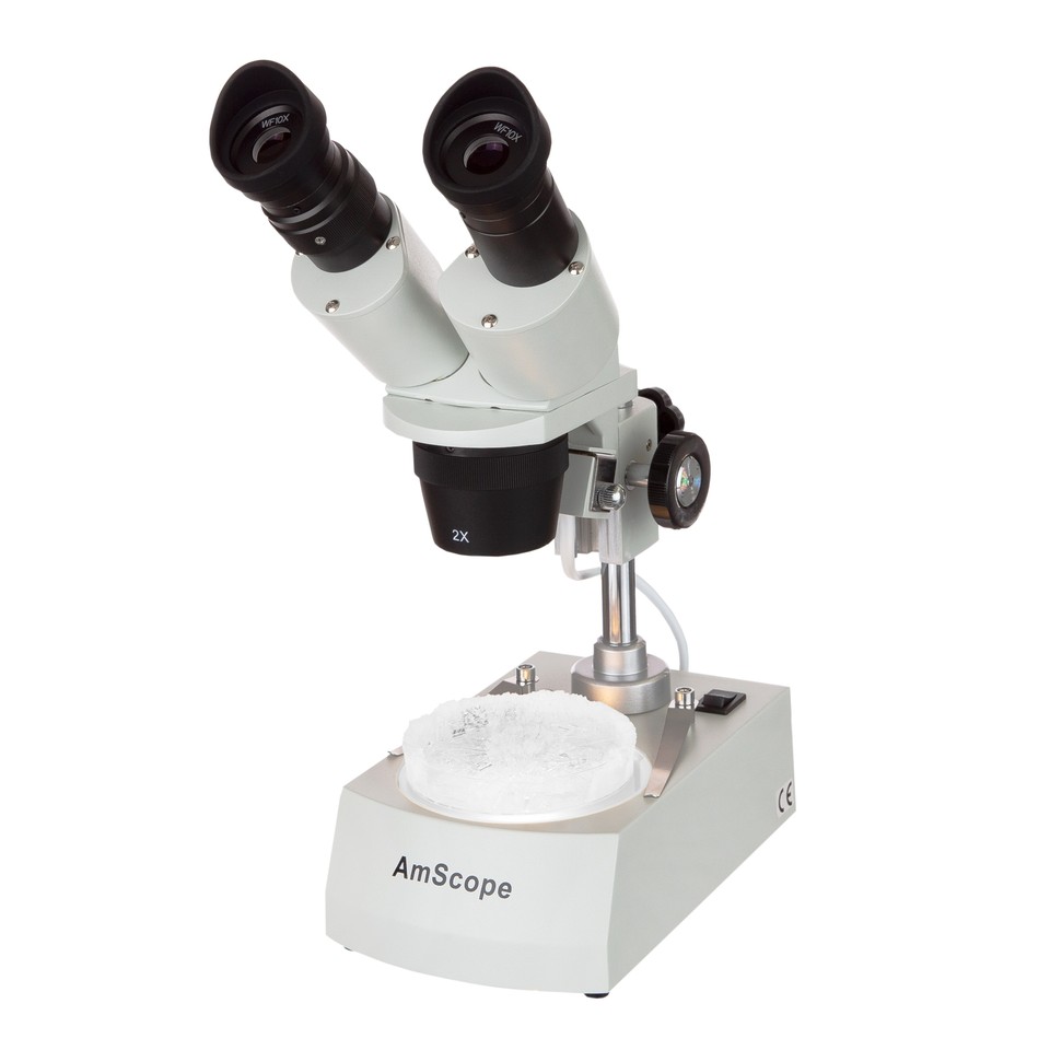 AmScope 40X-80X Student Binocular Stereo Microscope with Dual Lights ...