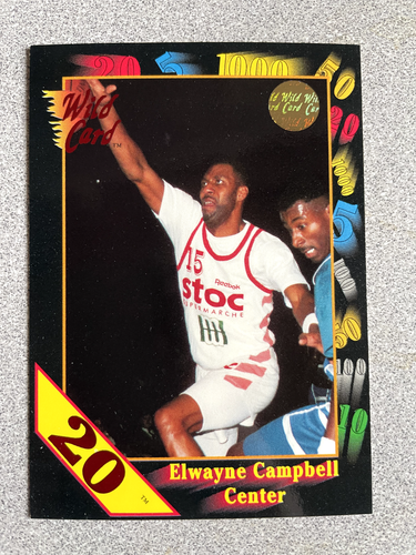 1991-92 Wild Card Demetrius Calip 20 Stripe Card Michigan | eBay