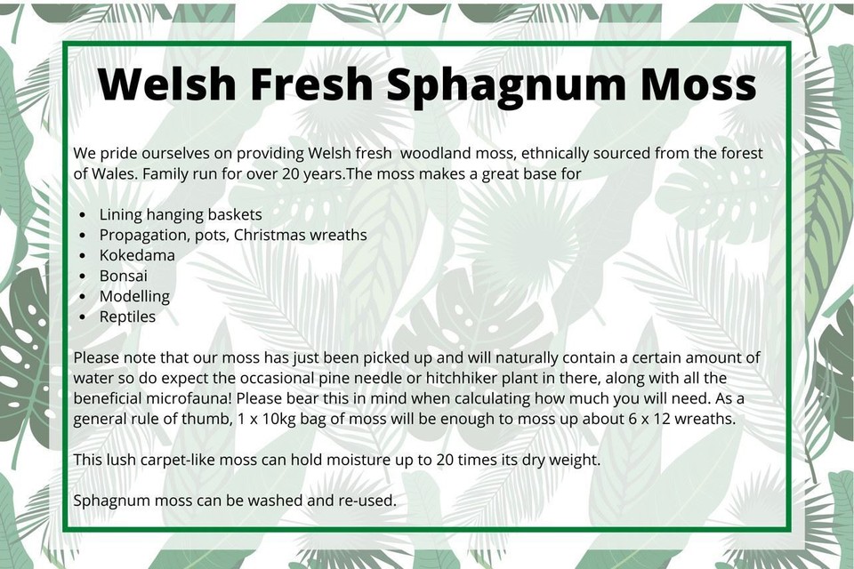Welsh Fresh Sphagnum Moss Live Mosspole Wreath Terrarium Propagation ...