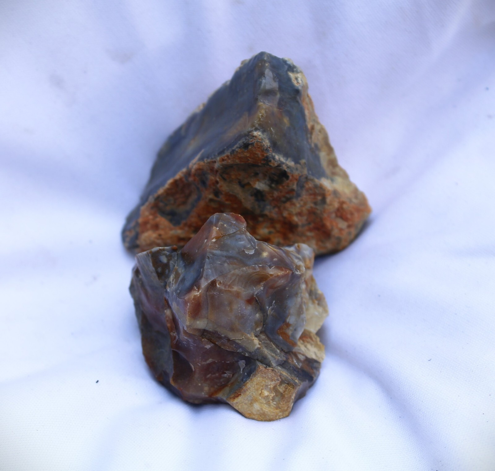 Rough Opalized Diatomite Oregon Yadenite Rock Specimen #8 | eBay