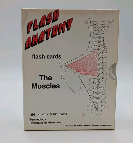 Flash Anatomy - The Muscles - 164 Flash Cards Complete Terminology ...