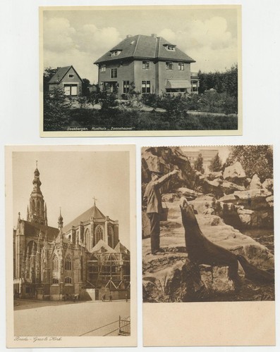 lot of 3 Netherlands views 1930s Rotterdam Zoo, Breda Groote Kerk ...