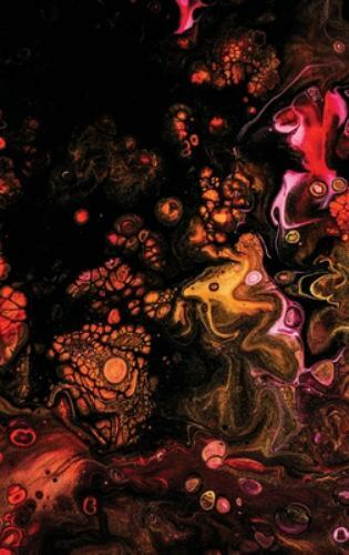 Aurora Journal (Diary, Notebook) by Booksmith Press (2021, Hardcover ...