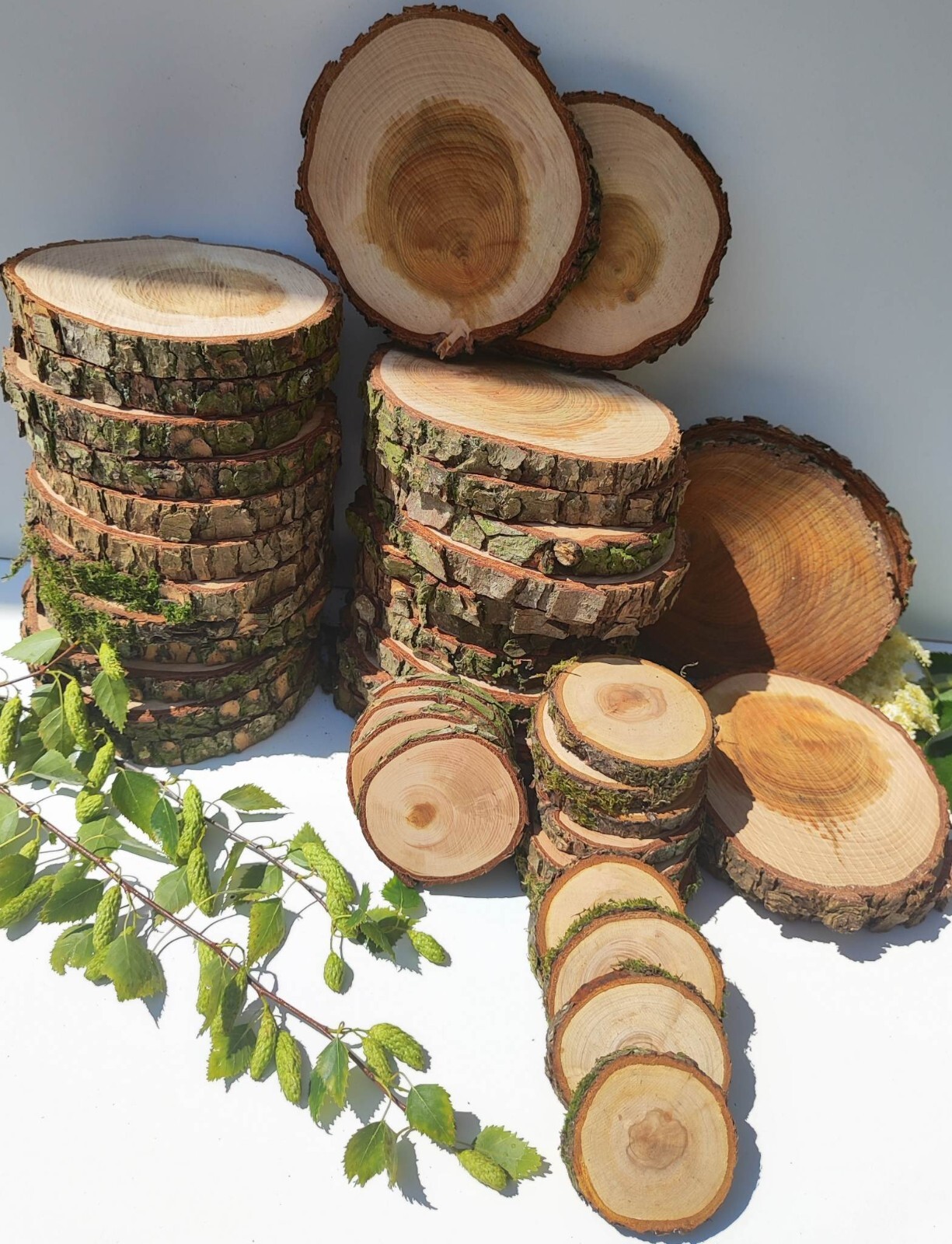 Log Wooden Slices LOCAL CRAFTS 2-18CM Wood Discs Round Wedding Cedar ...