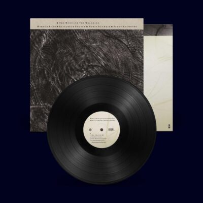 LP Record The Moon and the Melodies [Import LP] (4AD0642L Japanese ...