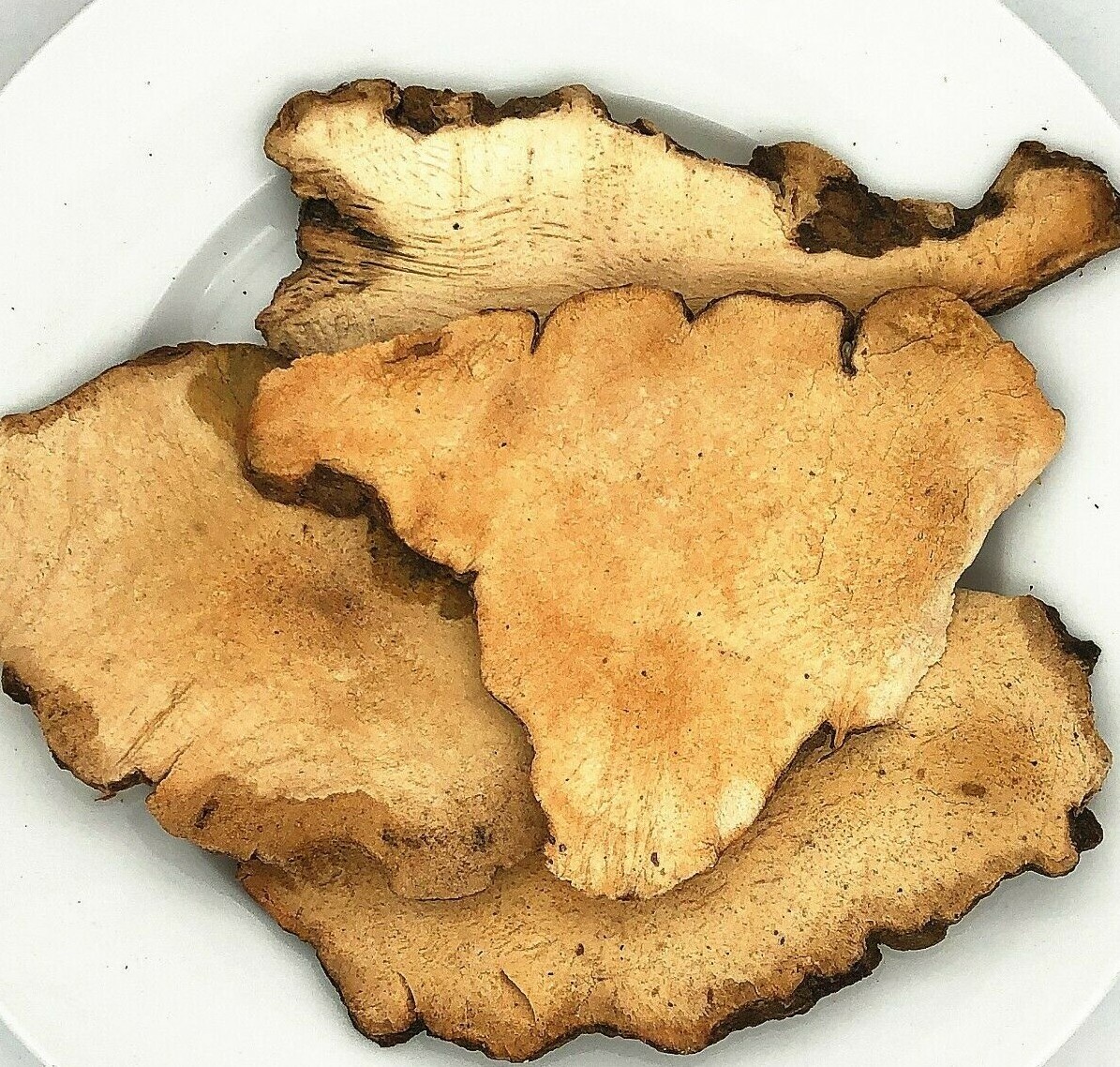 Greenlike Sarsaparilla Root Tu Fu Ling 土茯苓 切土茯苓 | eBay