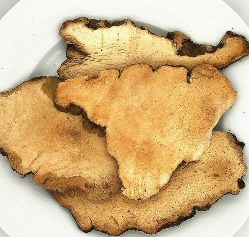 Greenlike Sarsaparilla Root Tu Fu Ling 土茯苓 切土茯苓 | eBay