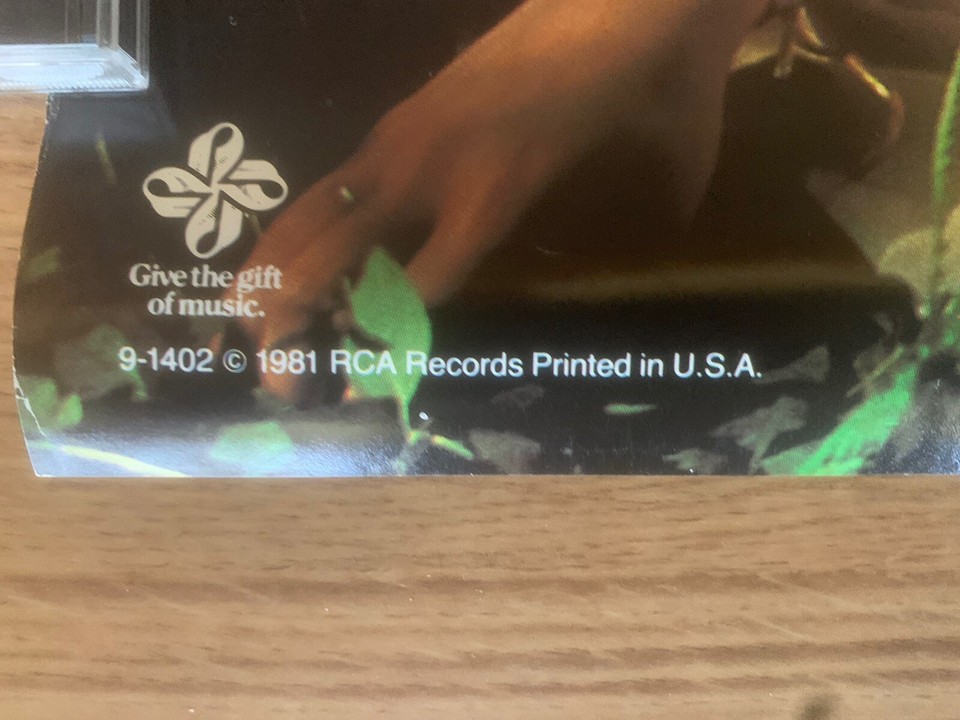 Bow Wow Wow 1981 See Jungle! See Jungle! Promo Poster Annabella Lwin | eBay