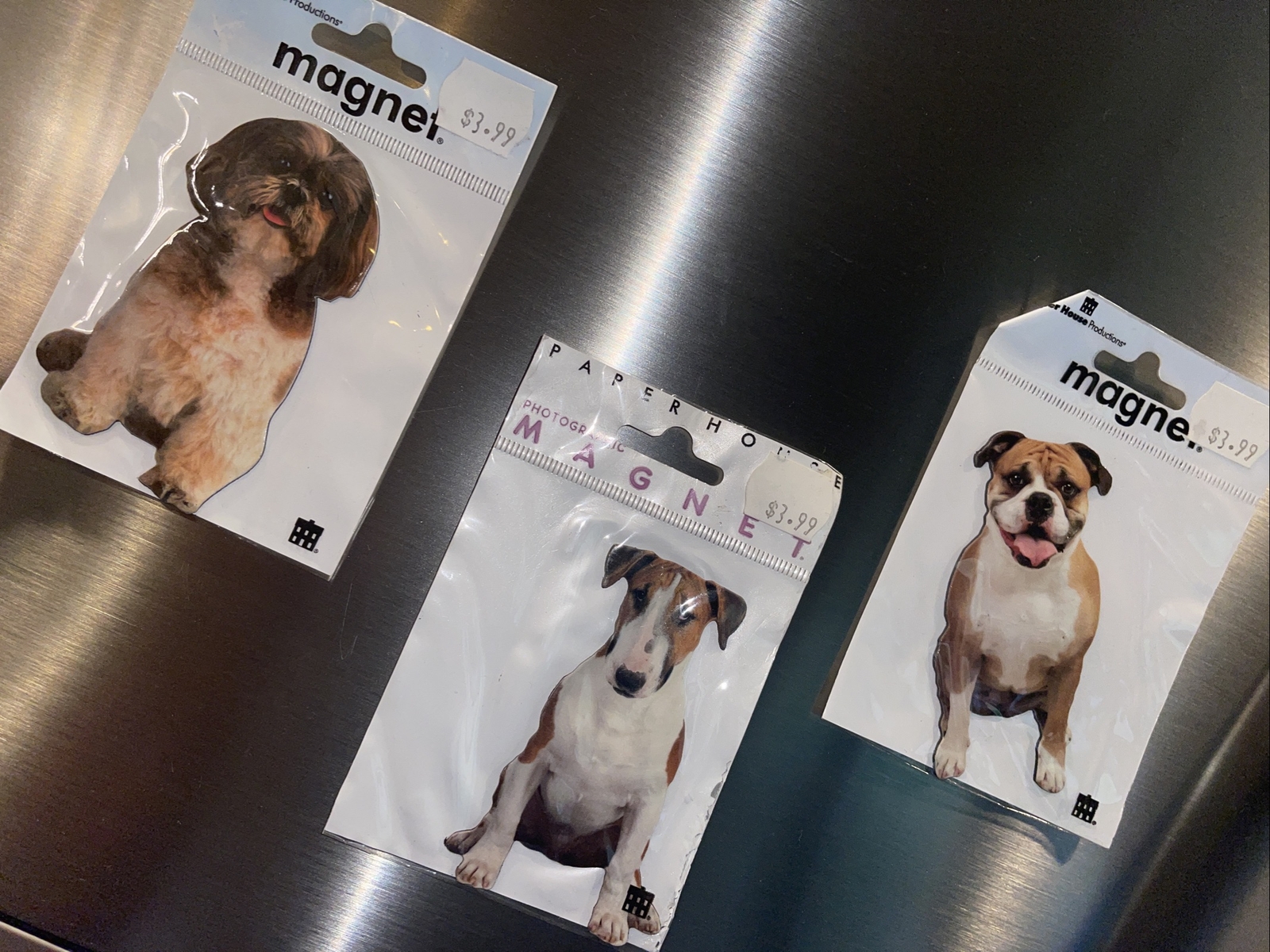 Dog Fridge Magnet Set Lot of 3 Refrigerator Magnets Gift New -I2 | eBay