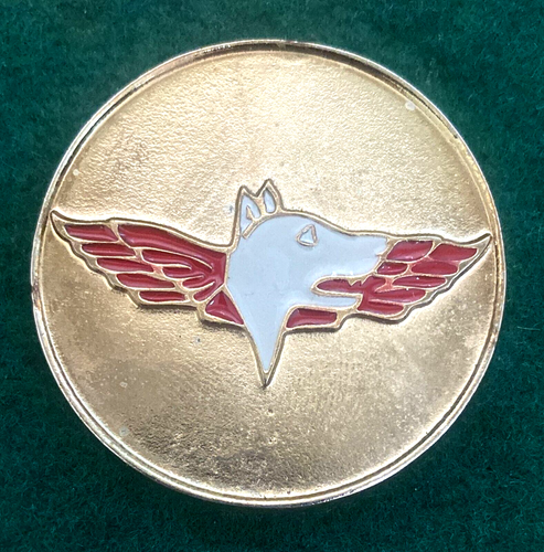 Israel IDF Unit 669 Evacuation and Rescue Unit Medal Challenge Coins | eBay