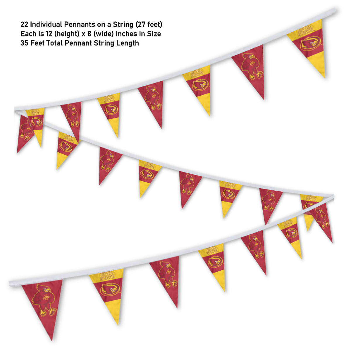 Iowa State University Pennant Flags On A String | eBay