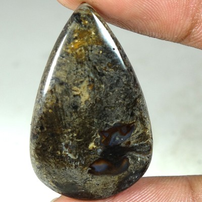 100% Natural Fossil Colus Agate Pear Cab Loose Gemstones 28.10Cts 21x ...