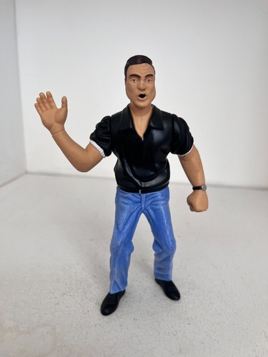 WWE WWF Caméraman Jakks Jouet D'Action Figure De Lutte BCA Superstars ...