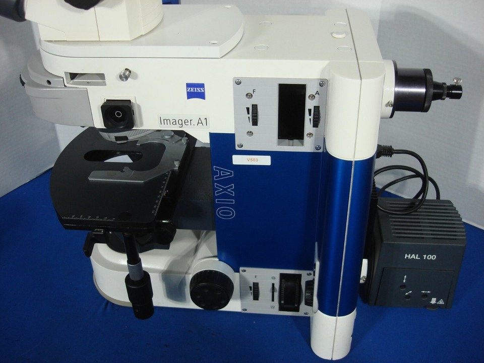 Zeiss Axio Imager A1 Phase Contrast Microscope with Cameras AxioCam MRm ...