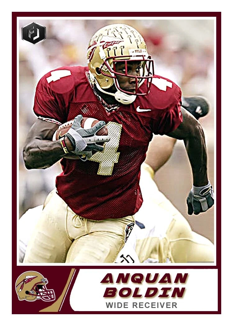 Anquan Boldin Fsu
