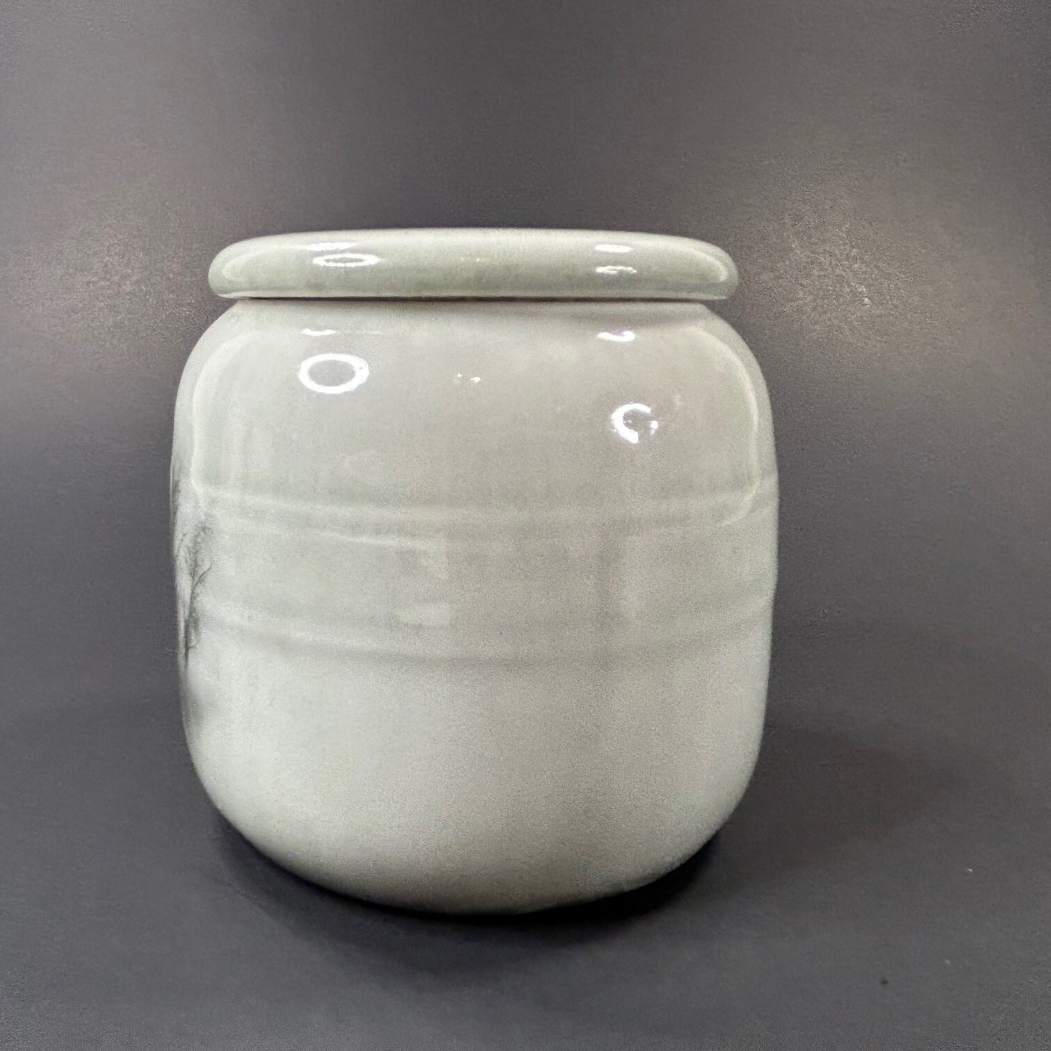 Tree of Life Decorative Keepsake Urn Jar for Human or Pet Remains NEW ...