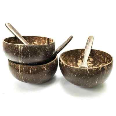 Coconut shell bowl and coconut shell spoon Organic Halves Ceylon made ...