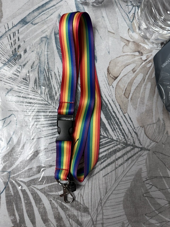 RAINBOW LANYARD detachable clip LGBT Gay Pride LGBTQIA key chain neck ...