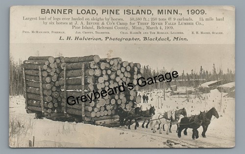 RPPC Banner Load Horse Drawn Sled Log Logging PINE ISLAND MN Real Photo ...