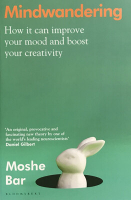 Mindwandering By Moshe Bar. New | eBay Australia