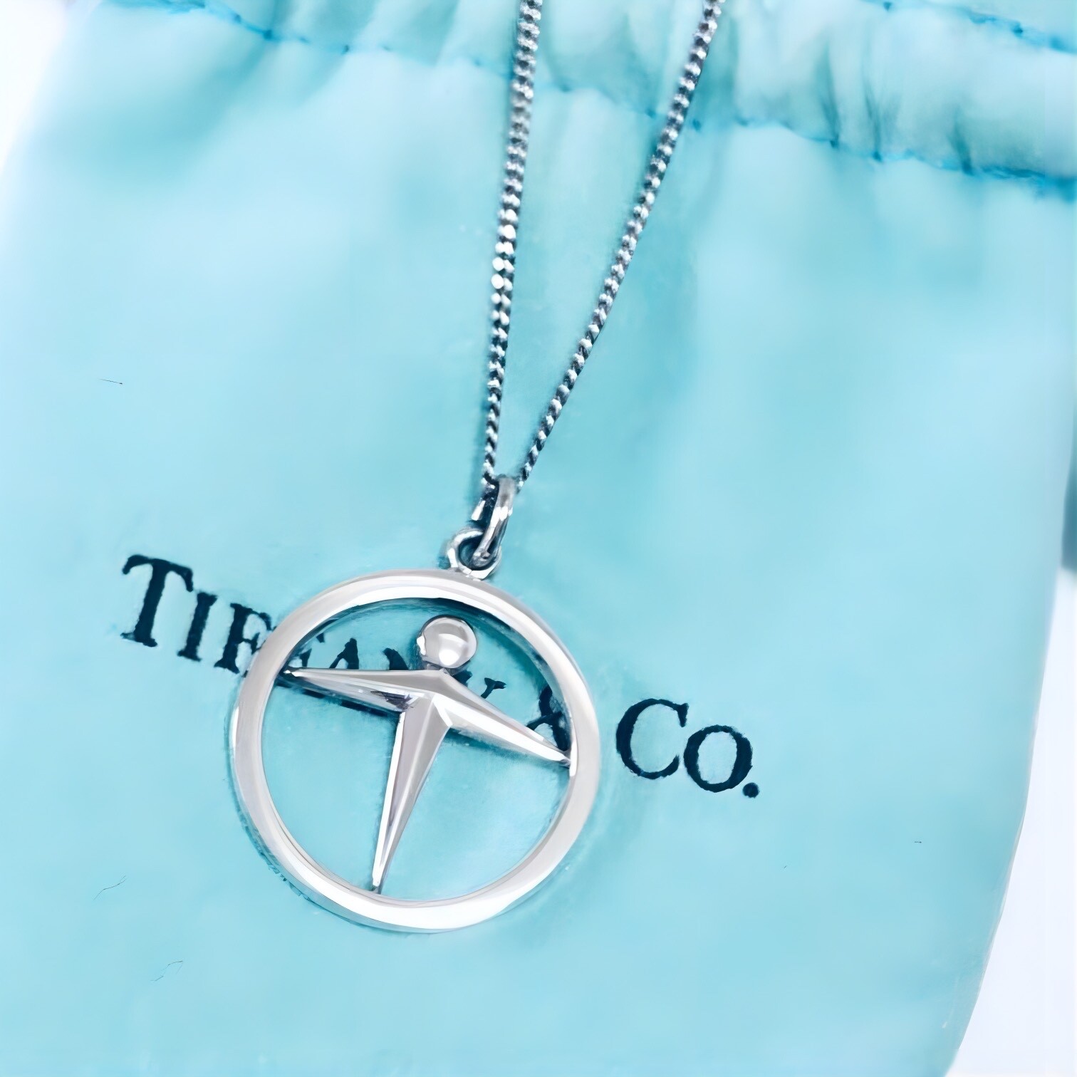 TIFFANY&CO. Manpower Necklace Sterling Silver 925 w/… - Gem