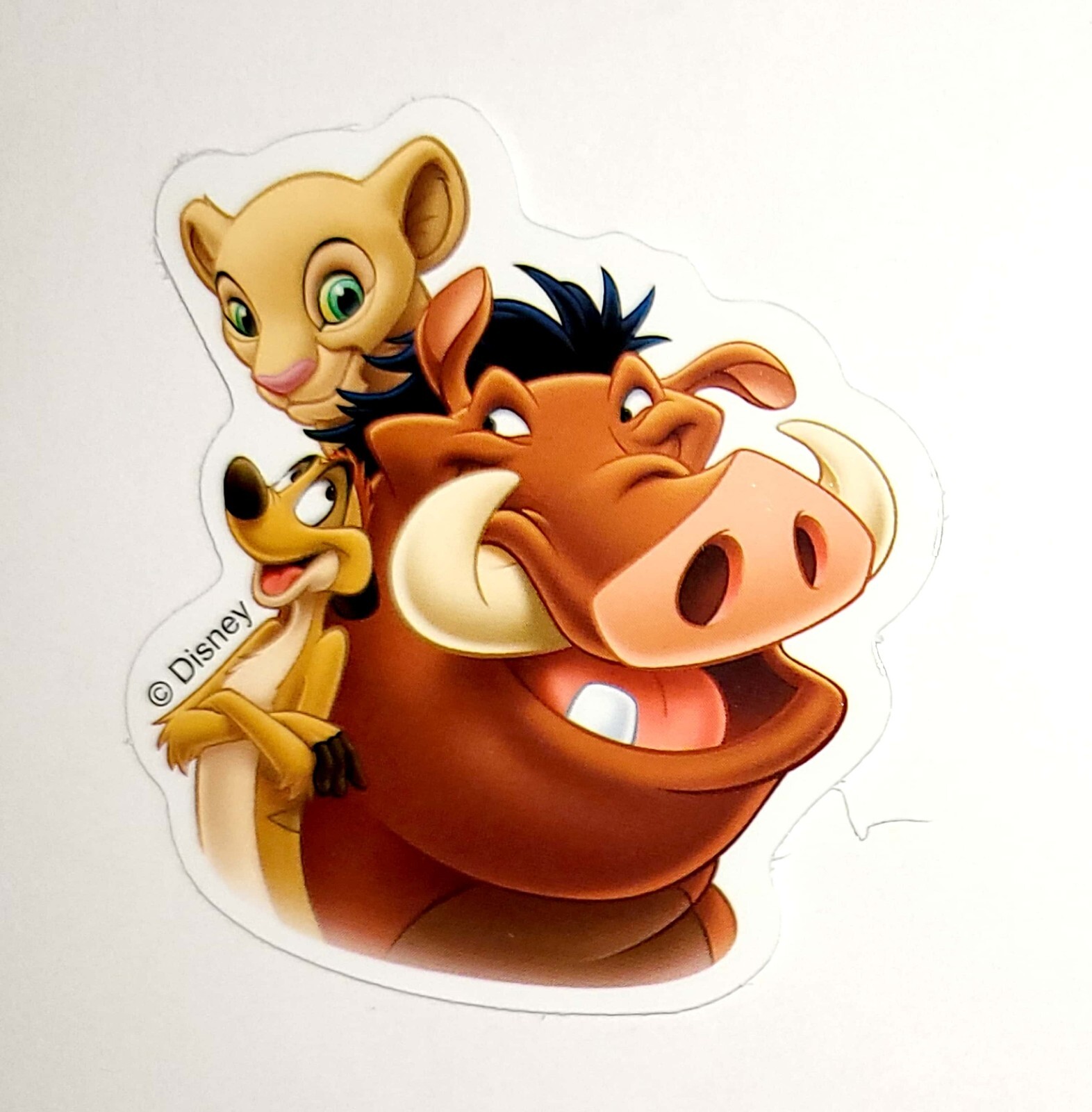 Disney Lion King Simba Timon Pumbaa Scar Anime Cartoon Water Resistant ...