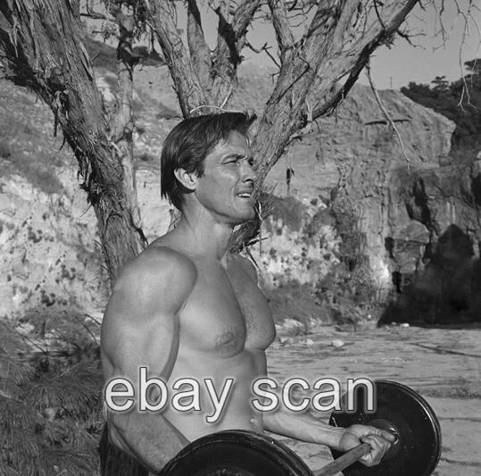 William Smith Actor Bodybuilder