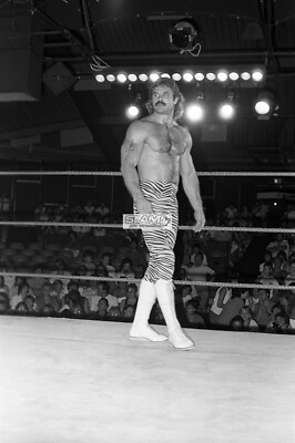 RICK RUDE VINTAGE 8x10 COLOR PHOTO ROH ECW WWE NXT AEW IMPACT | eBay